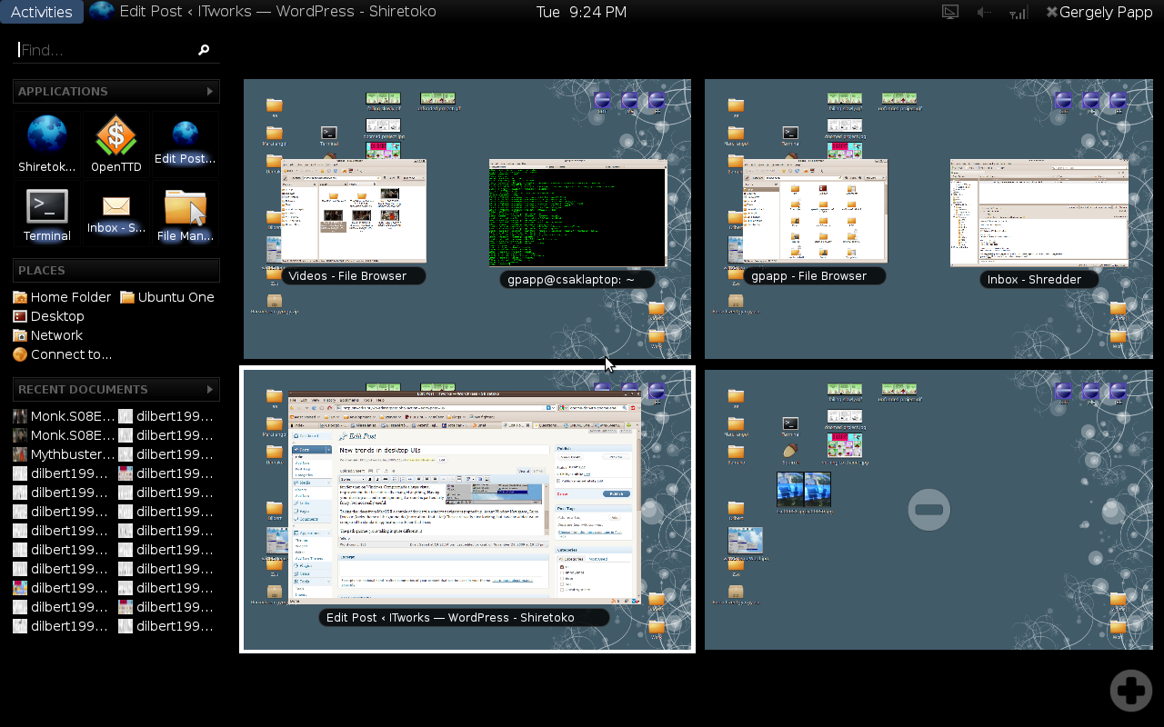 ITWorks - gnome-shell